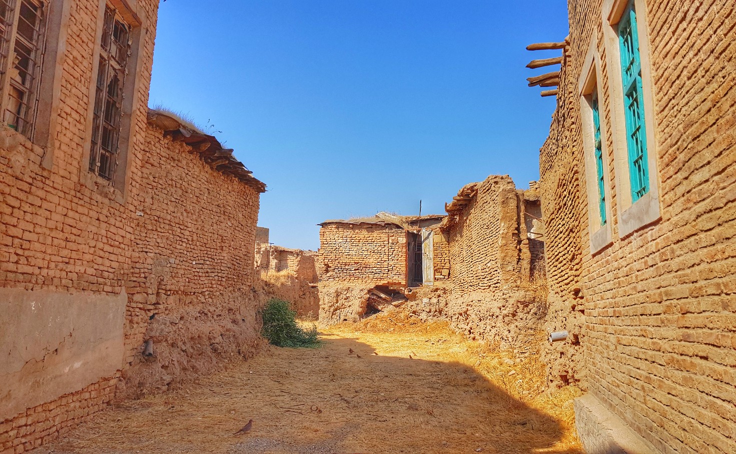 Travel Guide to IRAQ: Visiting a Country During War Times – The Digital ...